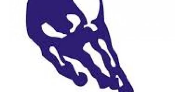 Блокираторы для автомобилей марки KAMA3